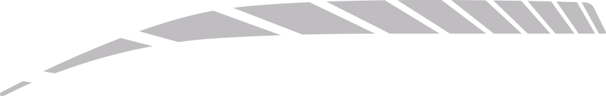 Chevy Impala Rear Quarter Stinger Stripes : Vinyl Decal Graphic ...